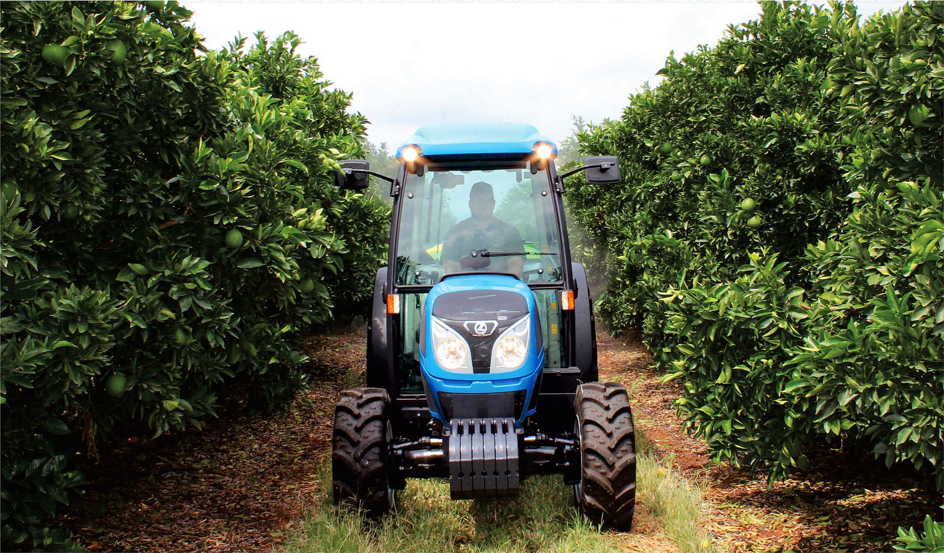 Trattori a due ruote motrici (2RM) Landini 85F Techno | Specifiche ...